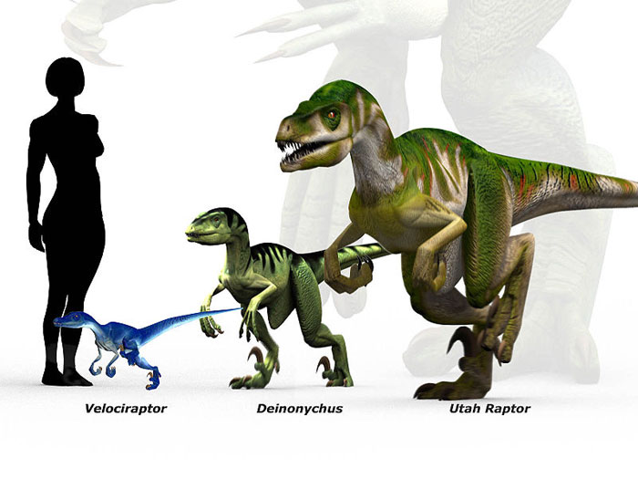 Raptor Scale Dinosaur Pictures Images Facts Science For Kids
